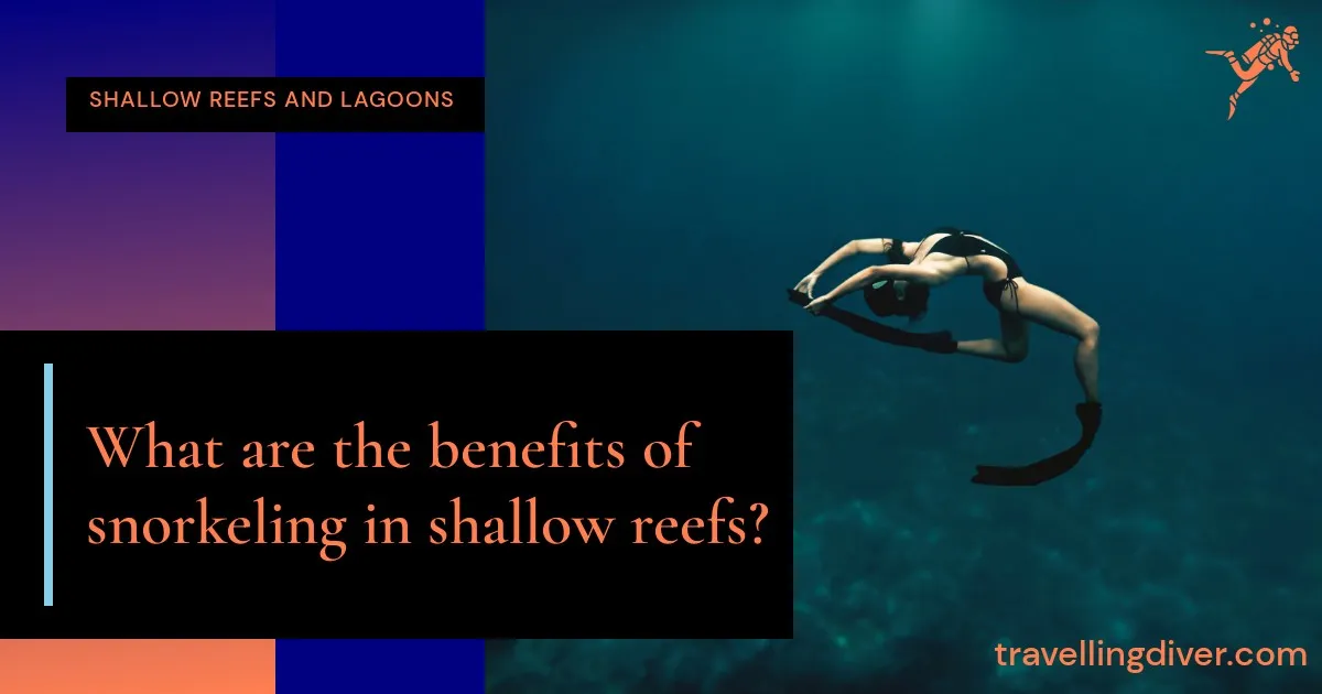 What are the benefits of snorkeling in shallow reefs? - Travelling Diver